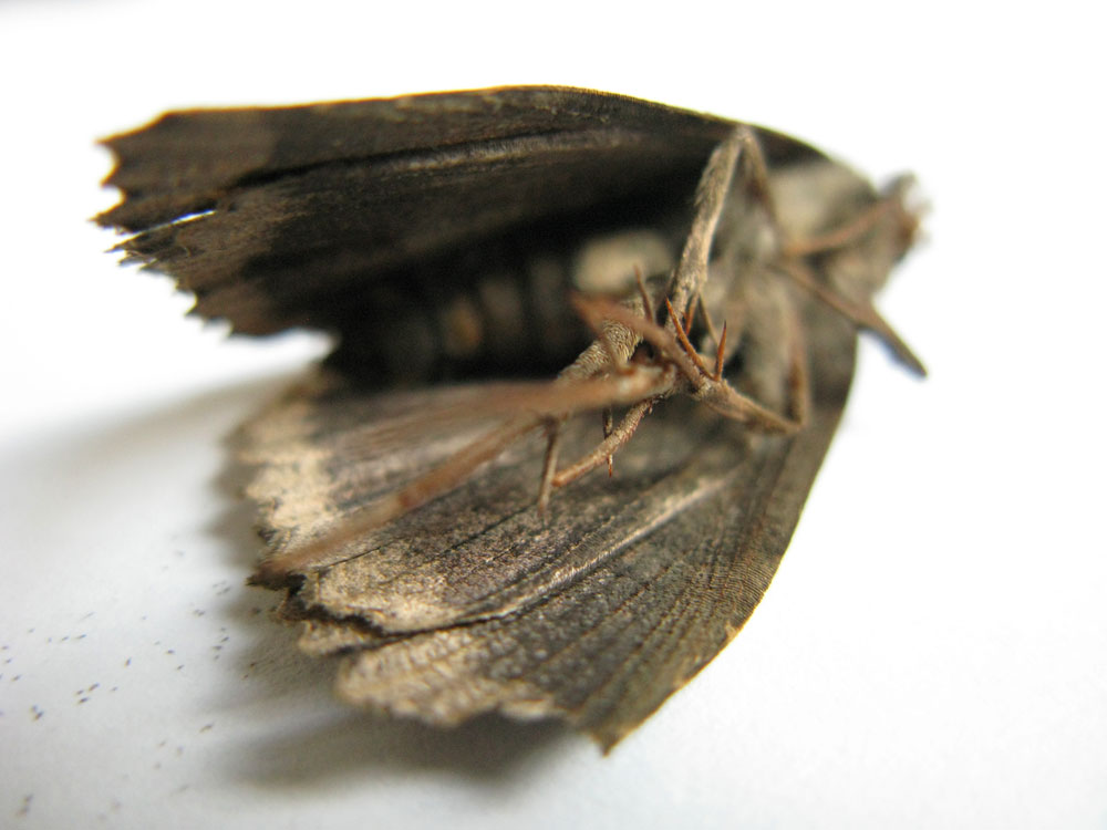 Rob Bowker Photography: Grounded