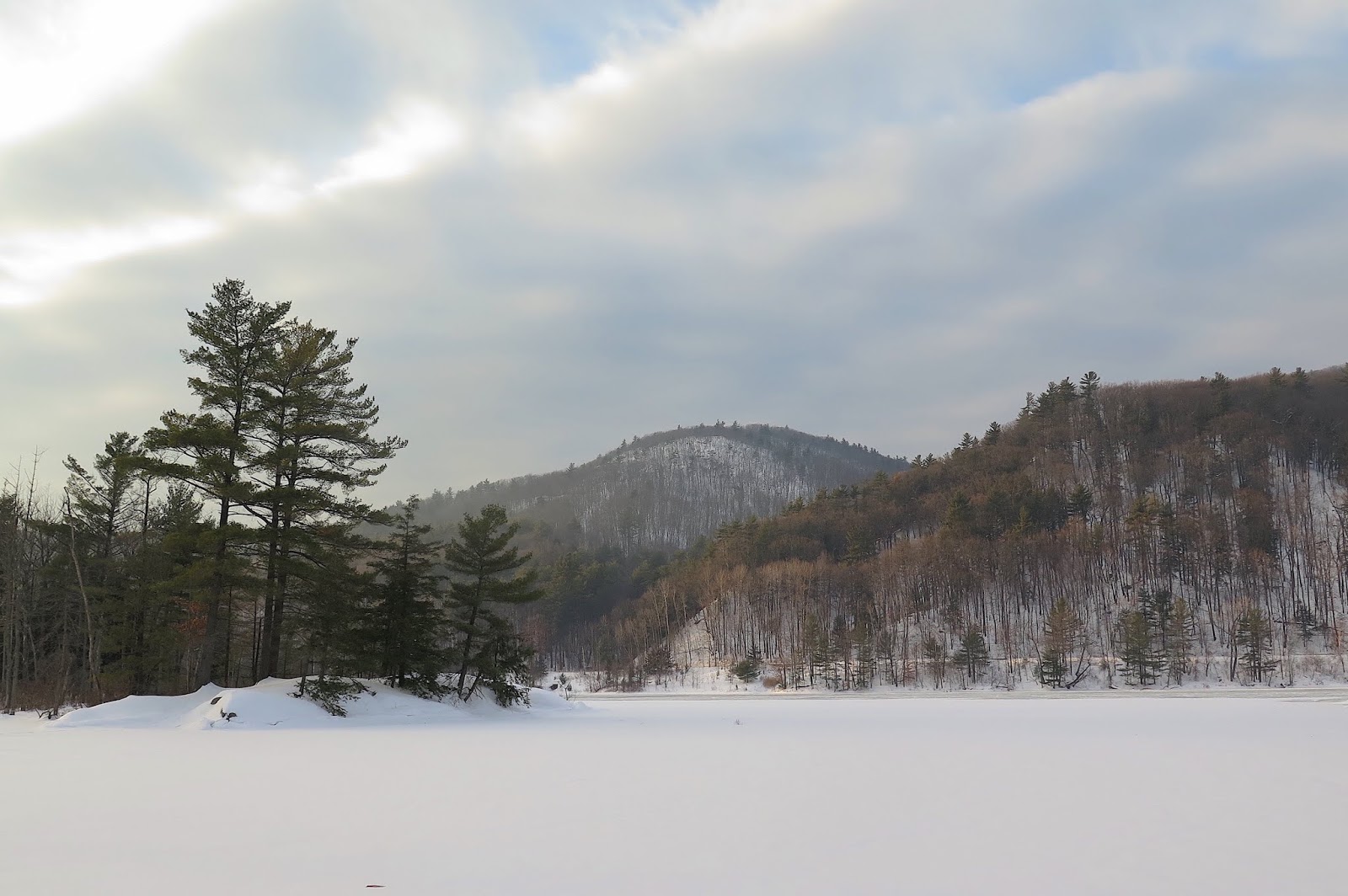 Saratoga woods and waterways: Through the Woods, Down to the River