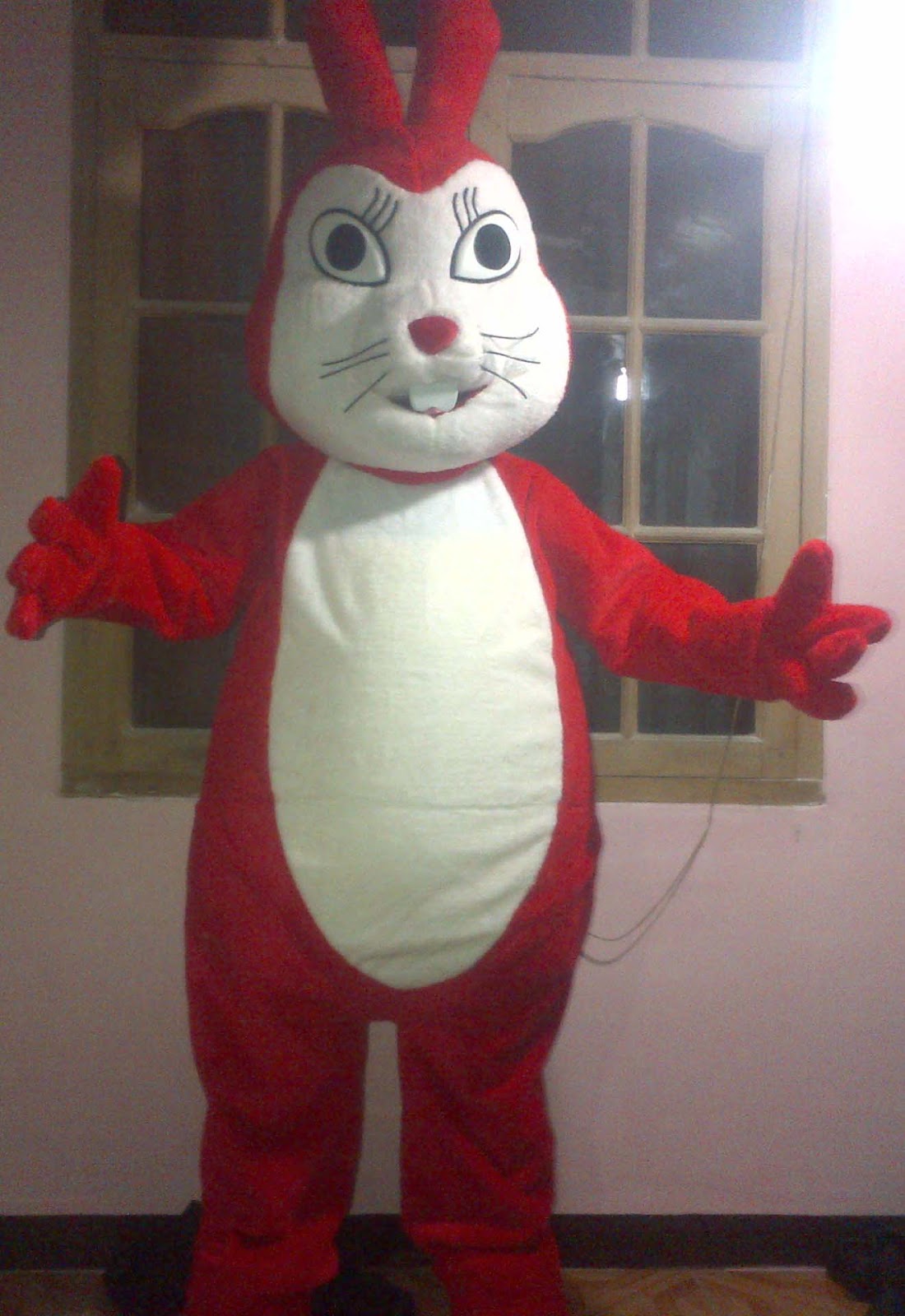 Kostum Badut Maskot Bandung