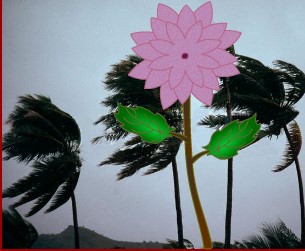 Science Projects By VIkram KHorwal: -: MAKING A WEATHER-INDICATING ...