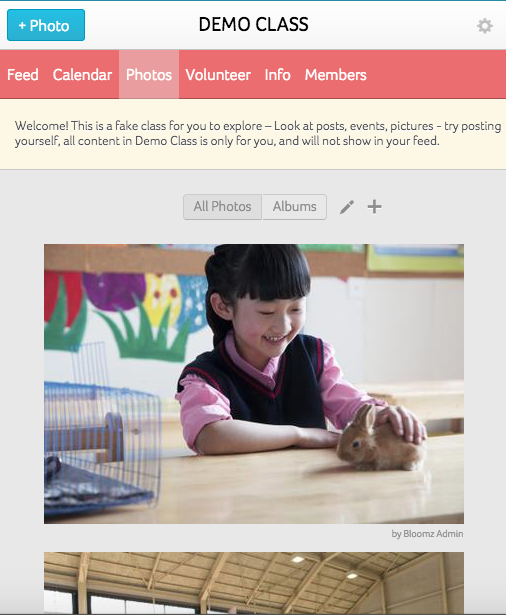 Adventures of a Techy Teacher