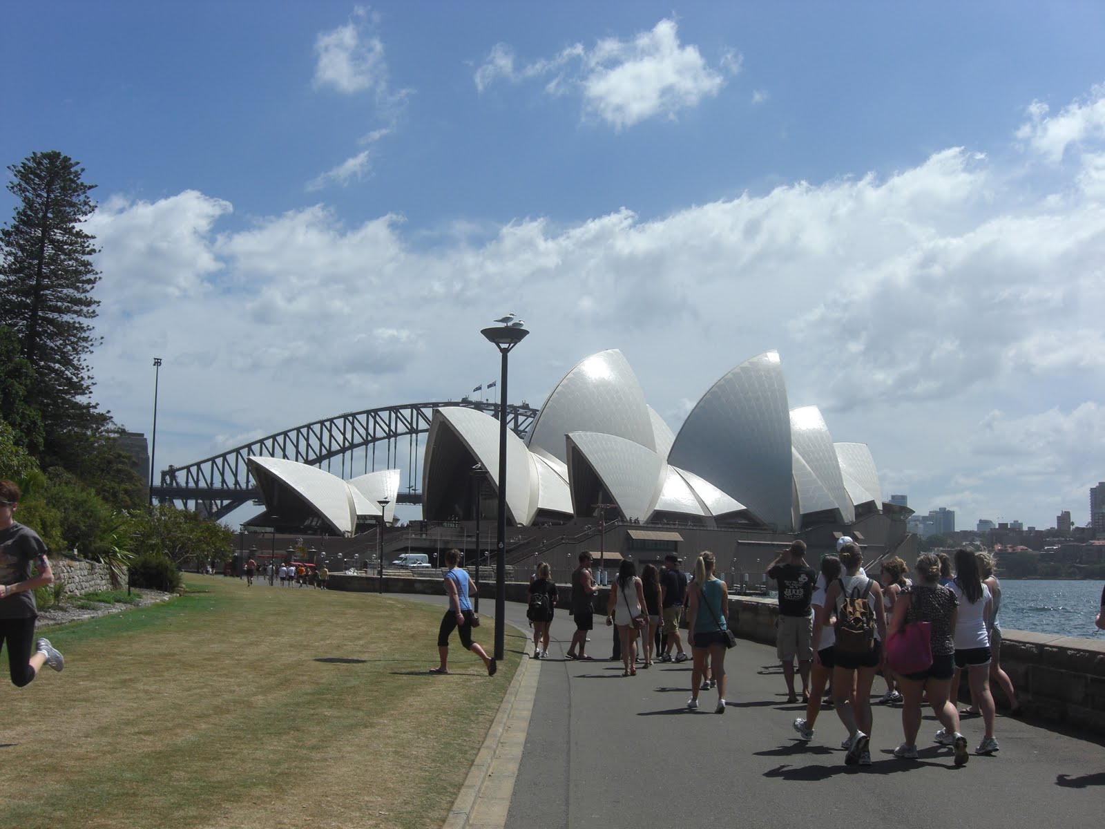A Semester Across the World: 42 Wallaby Way Sydney, Australia