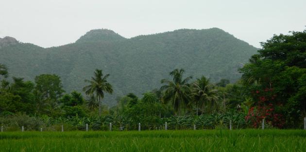 Tamilnadu Tourism: Amirthi Forest & Zoological Park, Vellore