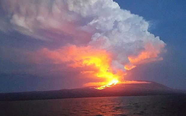 Volcan Wolf Erupts on Isabela Island - Galápagos Eco Friendly: The Blog