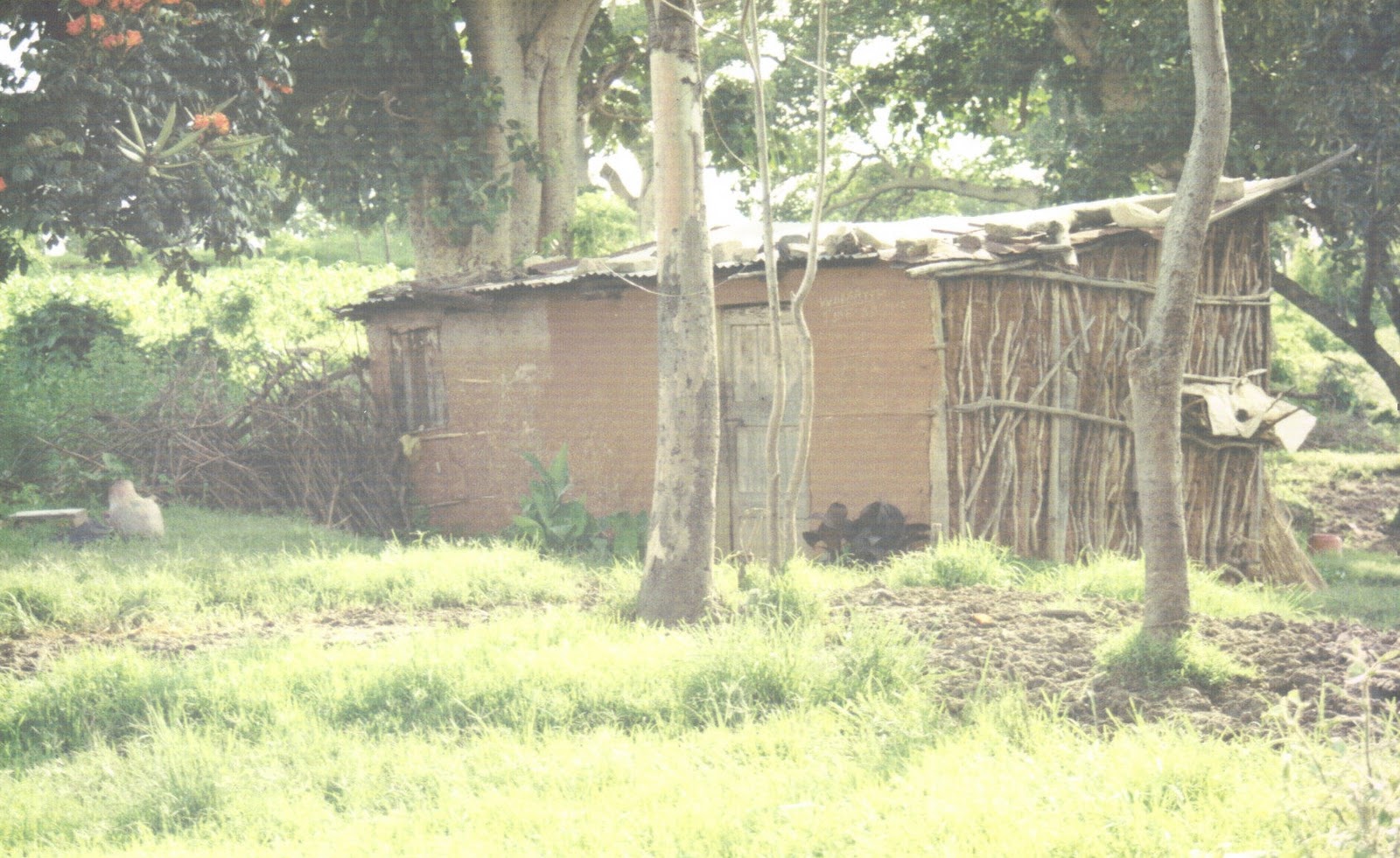 Missionaries In Service to Africa: Ambo, Ethiopia, our 2nd trip ...