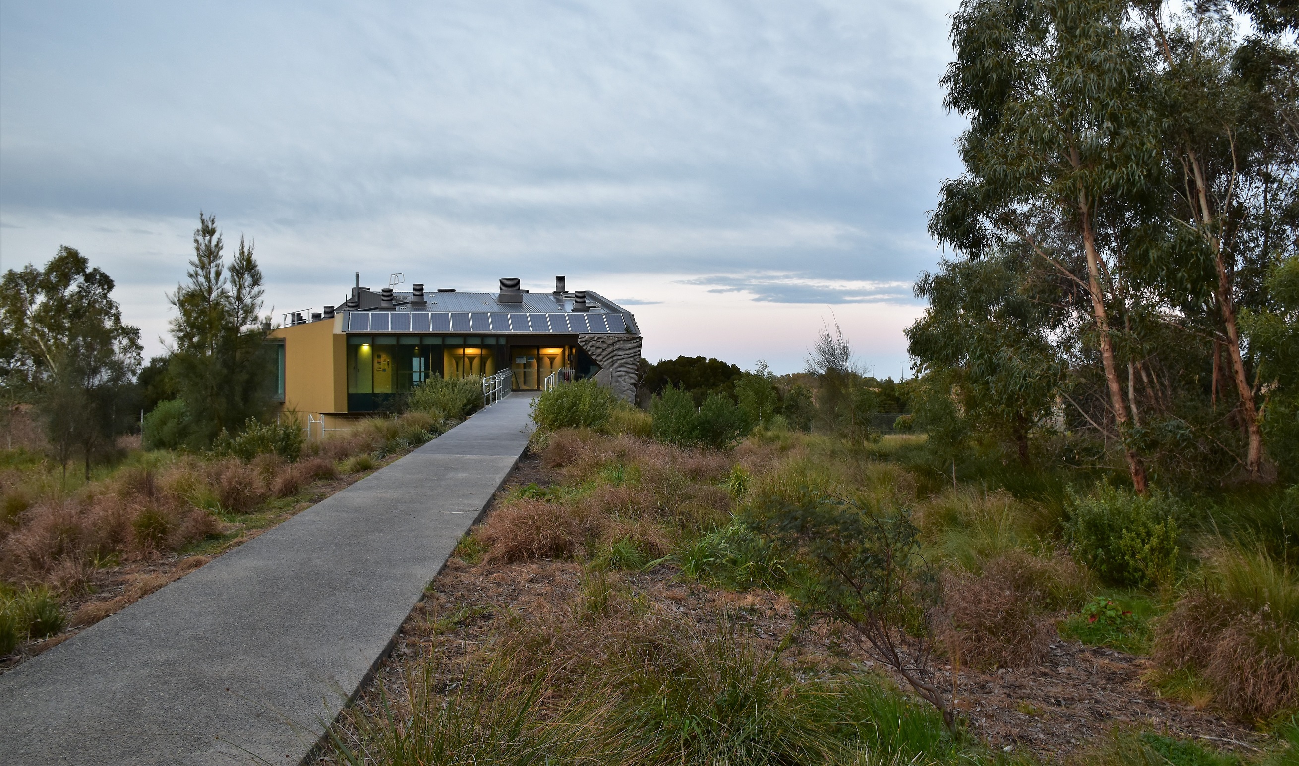Goin' Feral One Day At A Time: Edithvale Wetlands Walk - August 2020