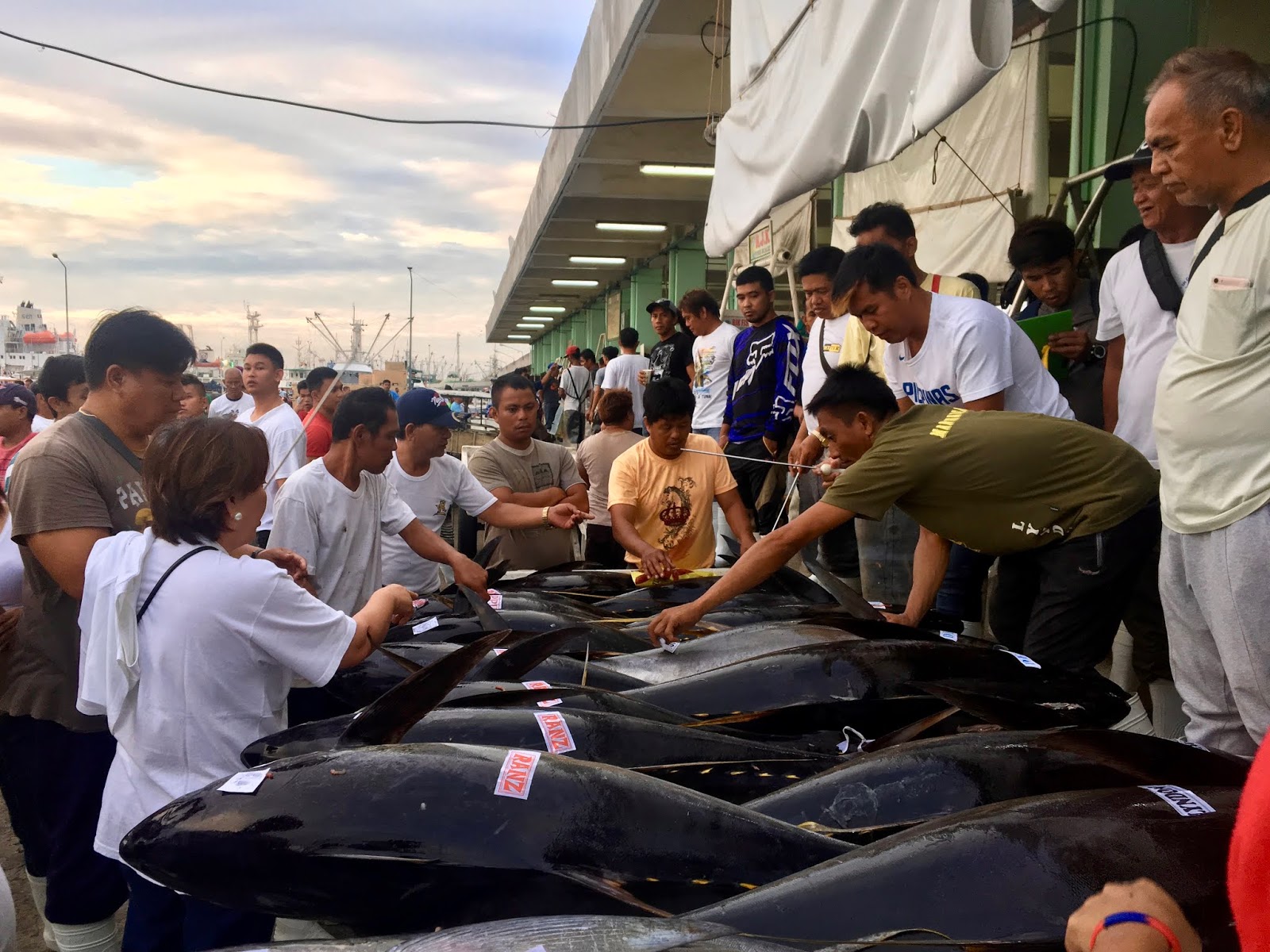 SOCCSKSARGEN Region : A Morning at GenSan's Fish Port Complex