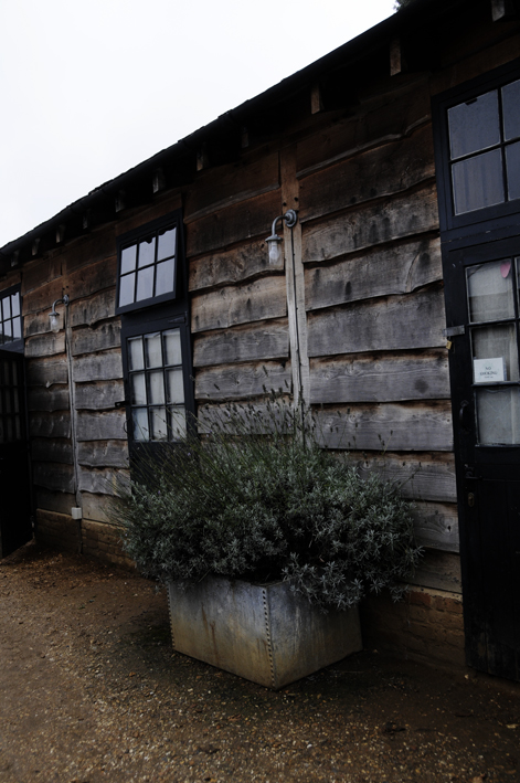 she had us at hello.....: nov, 14th - beautiful cladding....