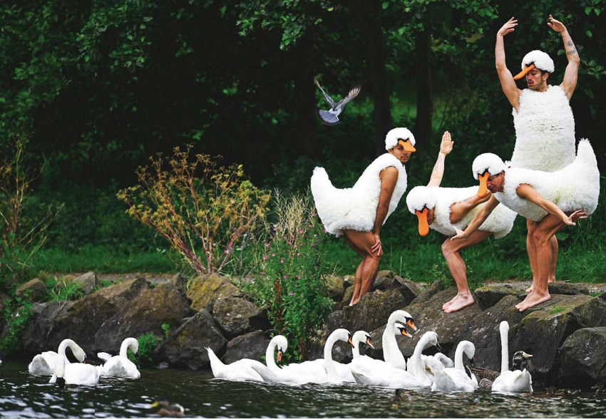 spagosmail: Svijet je čudesno mjesto: Labudovo jezero