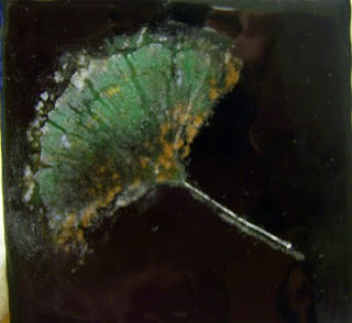 My Tiny Little Life: Fossil Vitra - A Fused Glass Technique