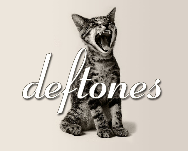 Deftones First Album - farmsaspoy