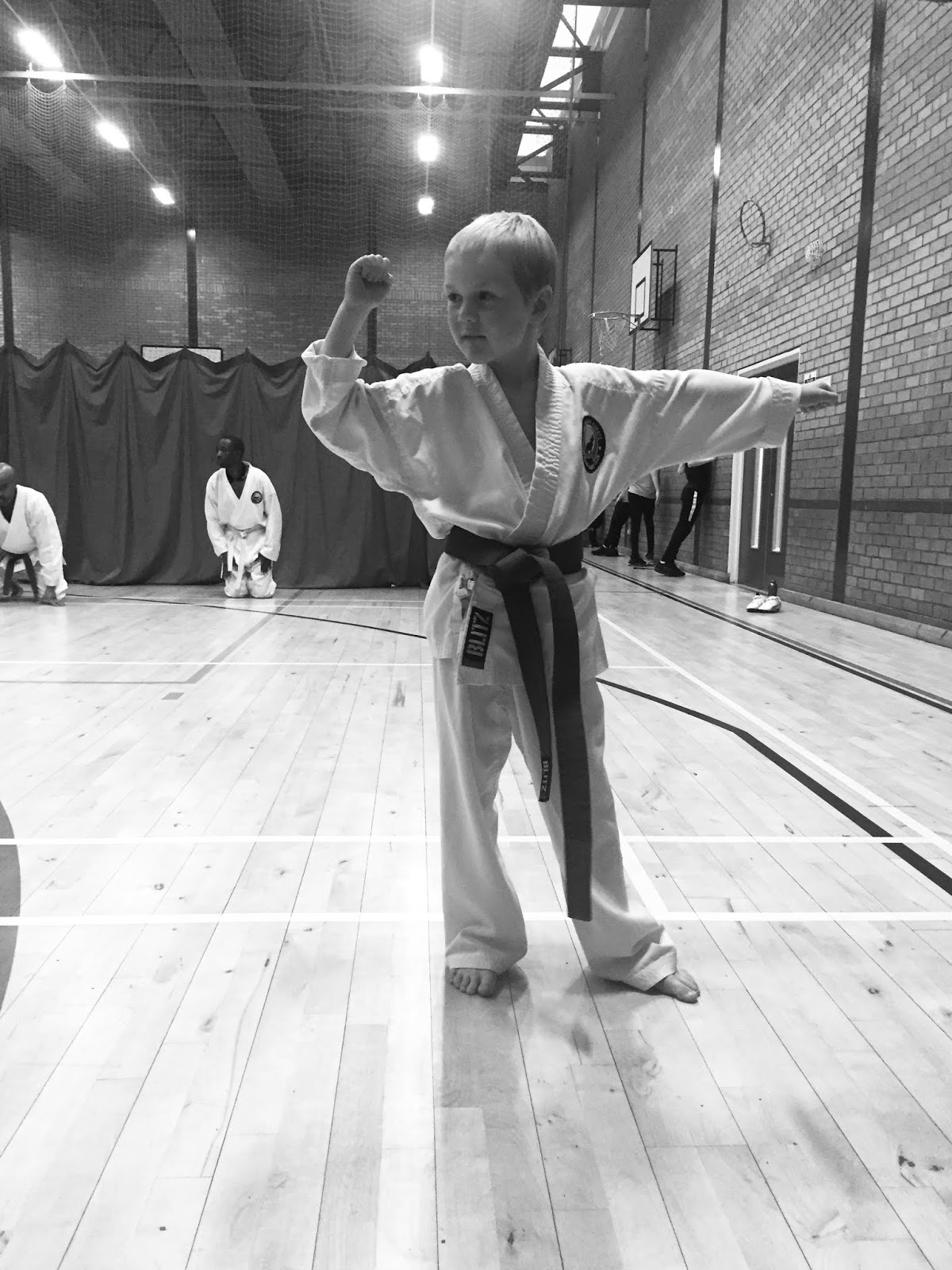 Oh Kami Karate Club: September 2018