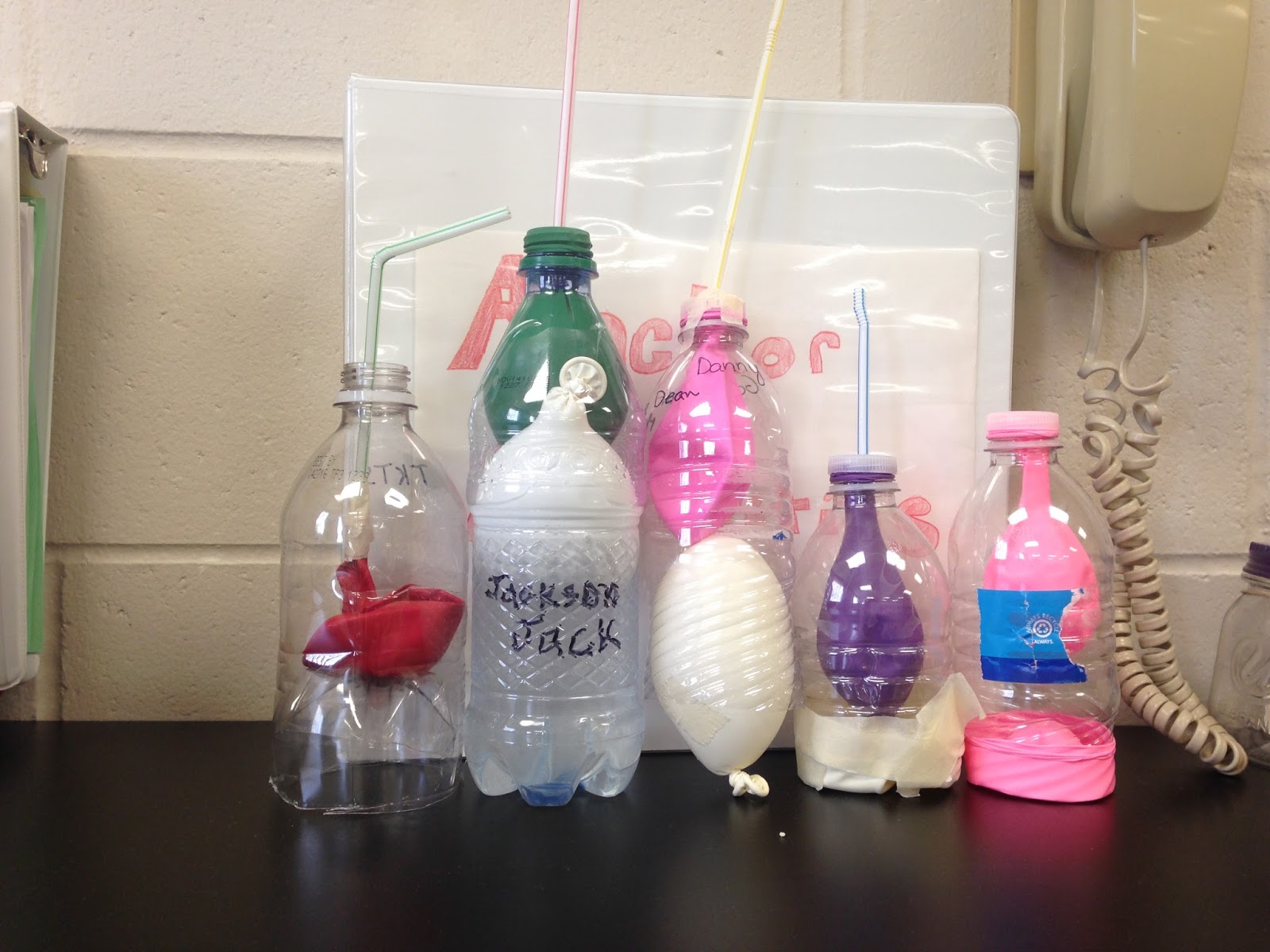 Science Education Idea Exchange: Respiratory STEM: Constructing Lung Models