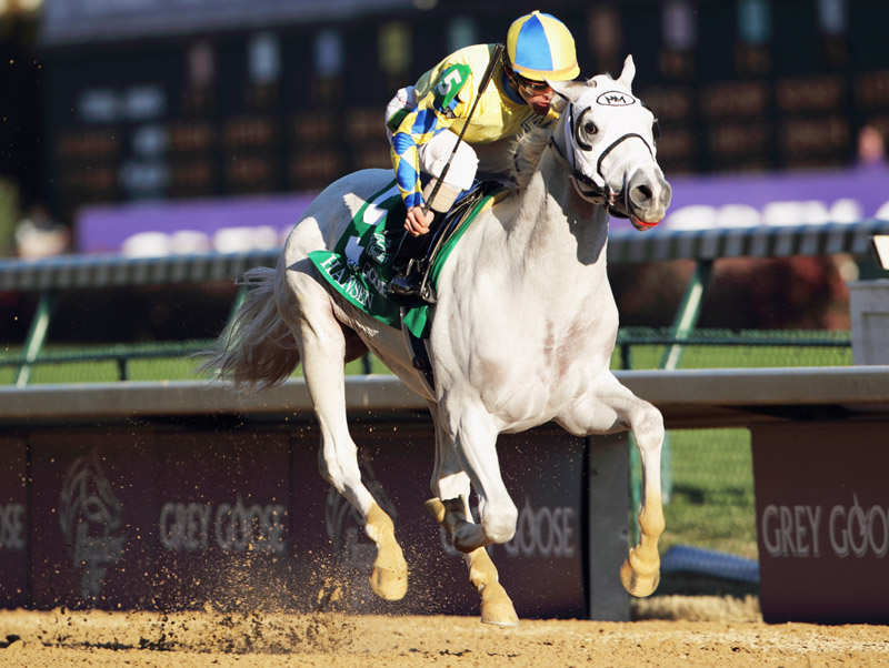 Chasing The Derby: Half-dozen for Holy Bull// Undercard allowance comes ...