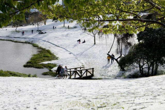 Meanwhile In Brazil (42 Pics) - STATIONGOSSIP