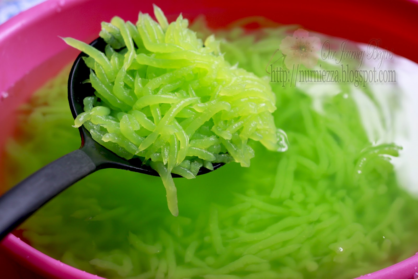 Our Journey Begins: Cendol Gula Merah dan Homemade Cendol
