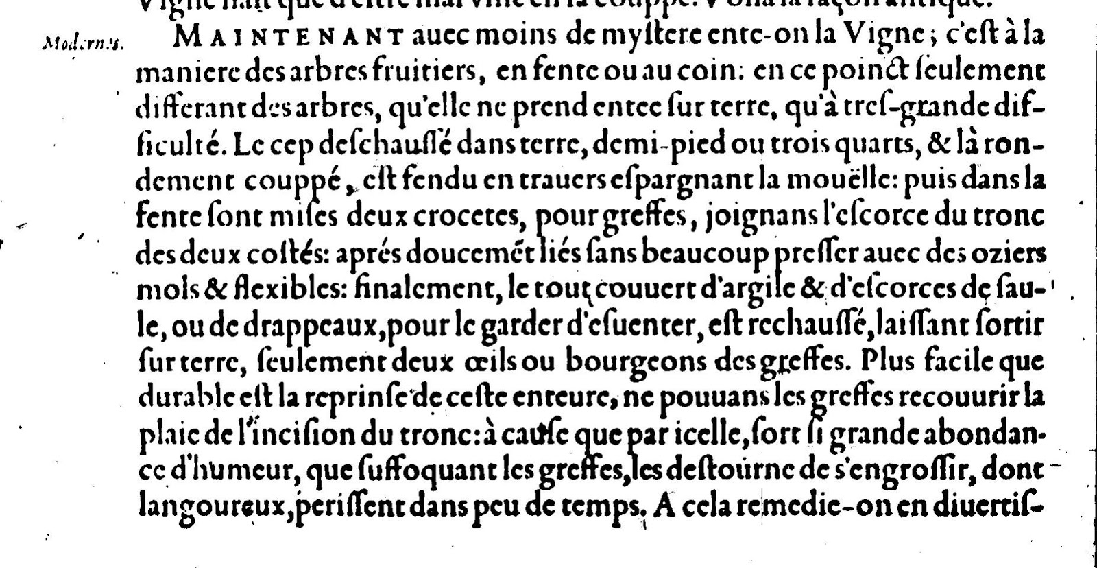 Une petite histoire du greffage