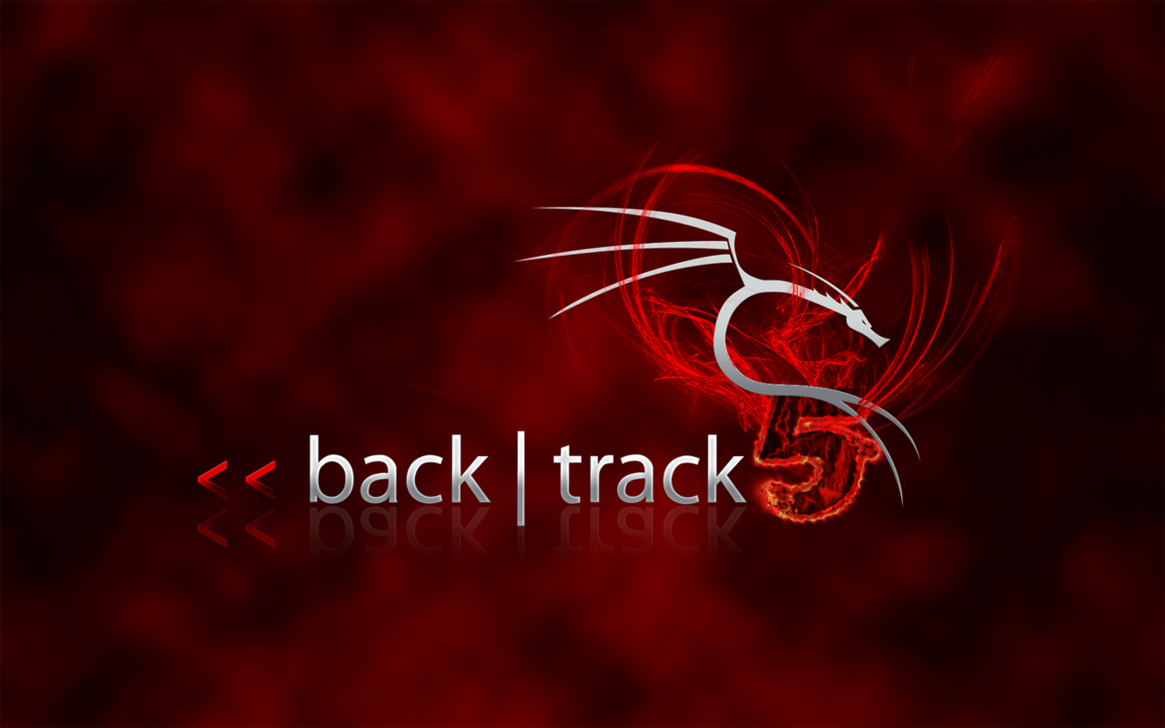 SISTEM OPERASI : BACKTRACK
