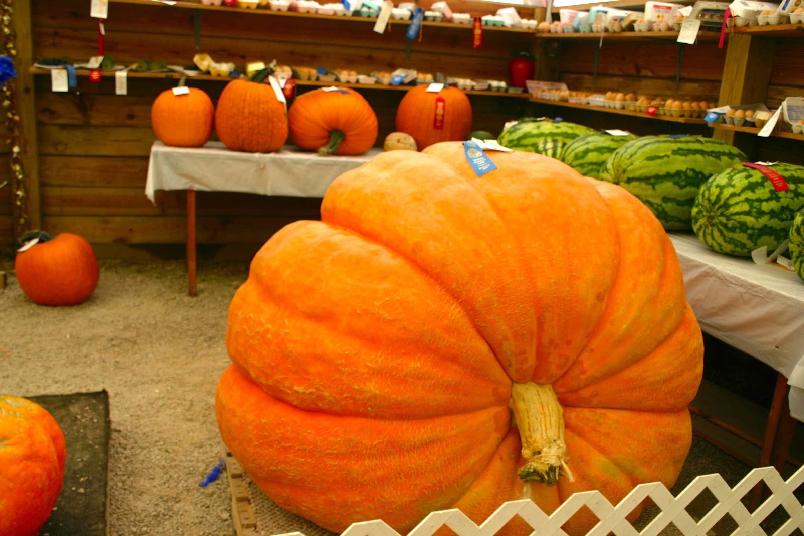 Life in the Middle Ages: Fairs