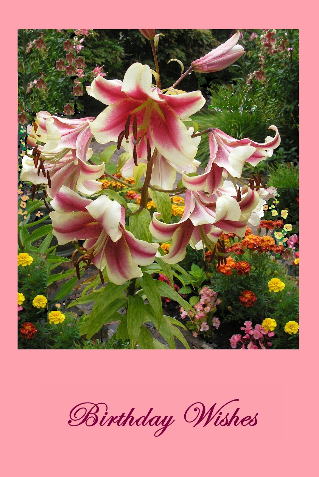 Customisable products on Zazzle.co.uk: http://www.zazzle.com/lily ...