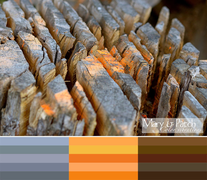 Color Vibrations | Mary & Patch