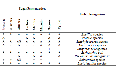 SENTHIL PRABHU SIVASAMY: Carbohydrate Fermentation Test