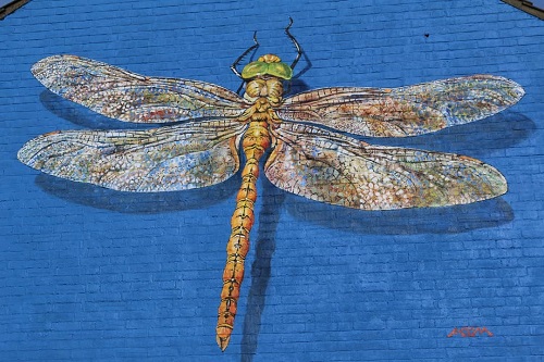 My Owl Barn: ATM Street Artist Paints Endangered Species to Spread ...