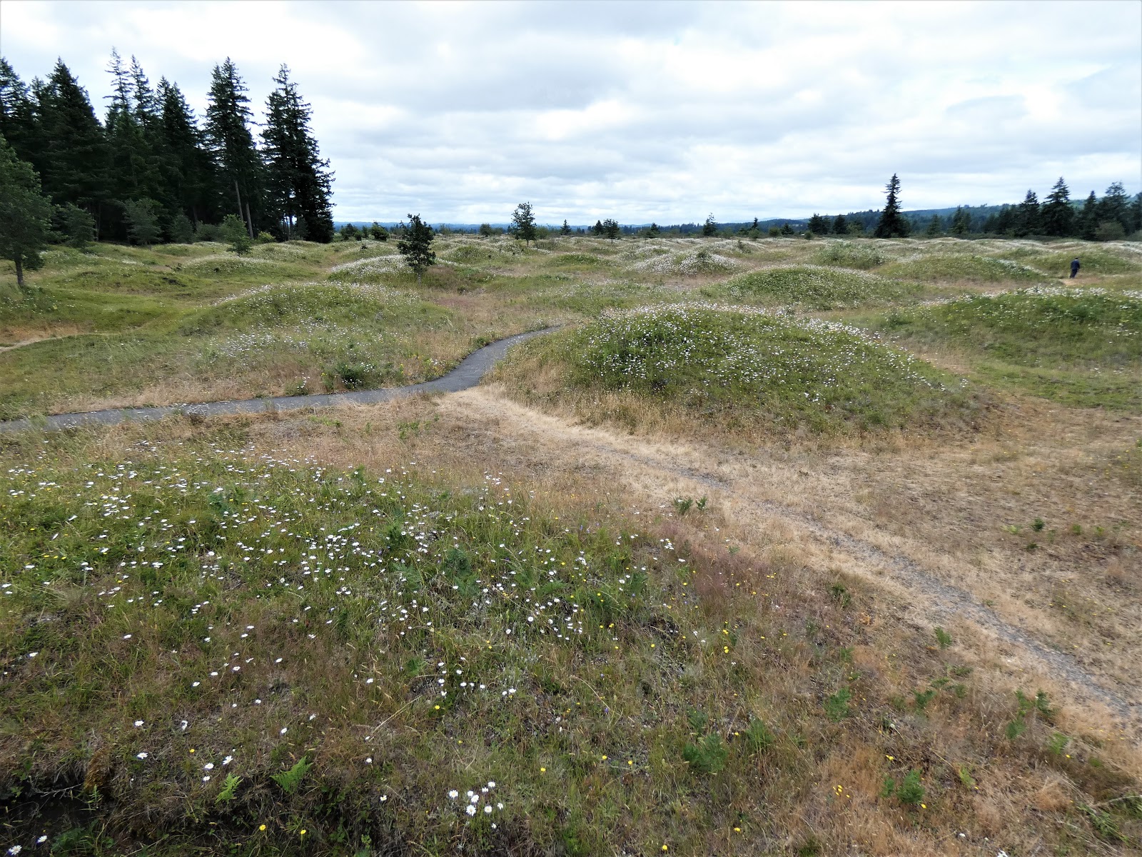 Geotripper: Burial Mounds of the Kings of the Rohirrim? Got a Better ...