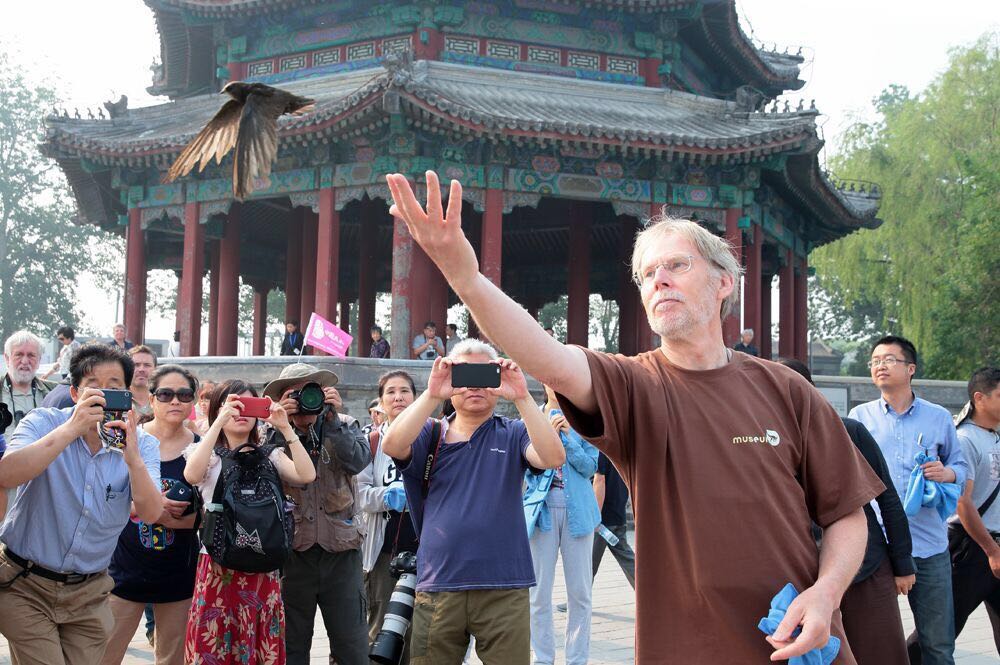 Action for Swifts: Beijing Swift project preliminary results