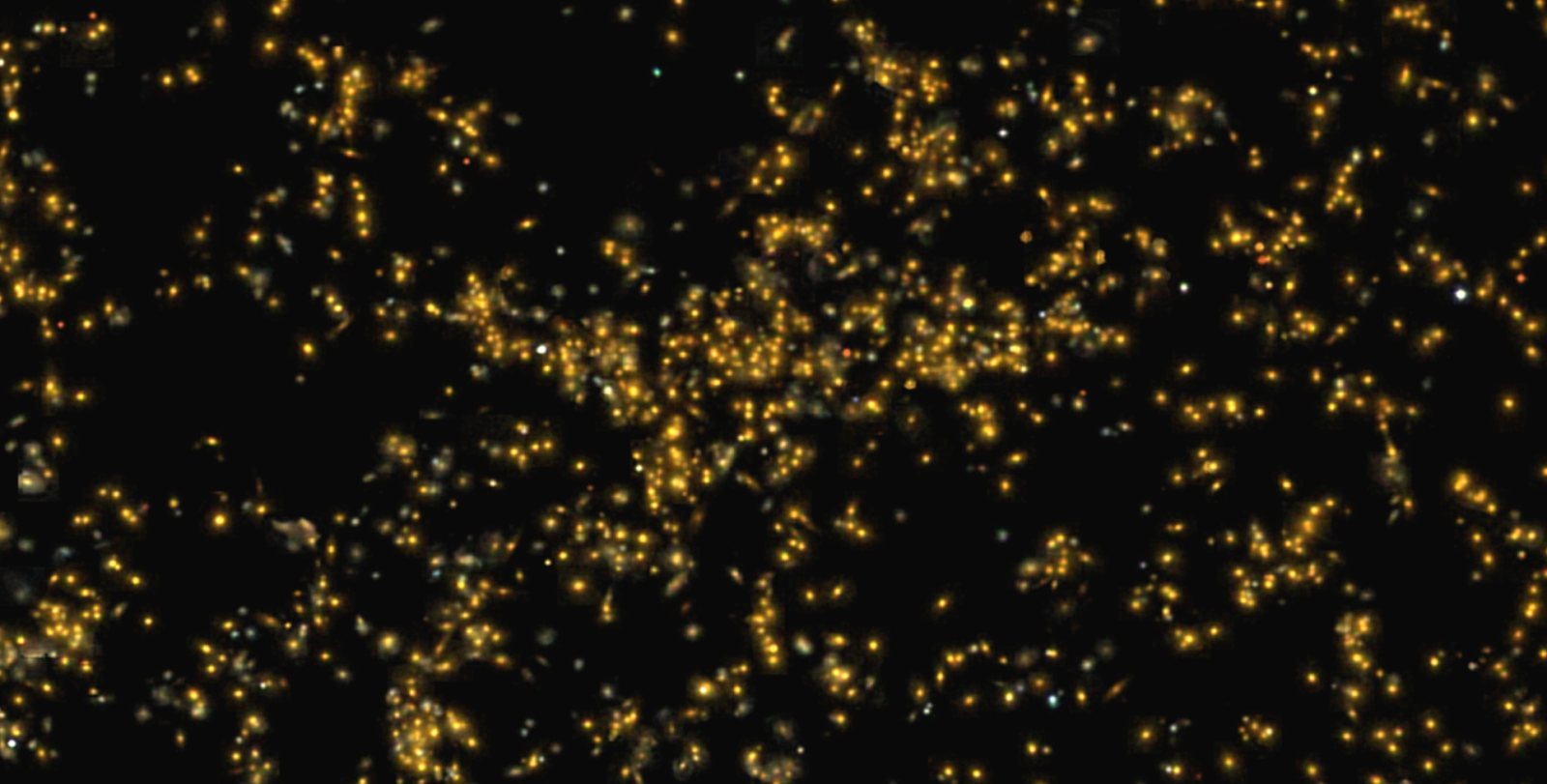 One of the most massive large scale structures in the Universe discovered