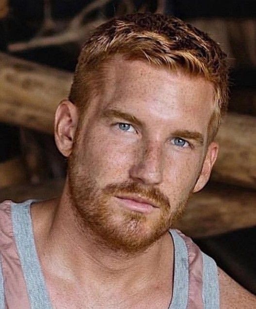 CV 2: In Praise of Gingers