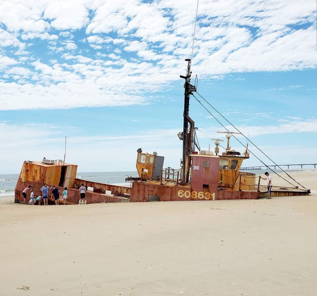 The Fletcher Farmhouse: Shipwrecks and Seashells! Ideas for Homeschool ...