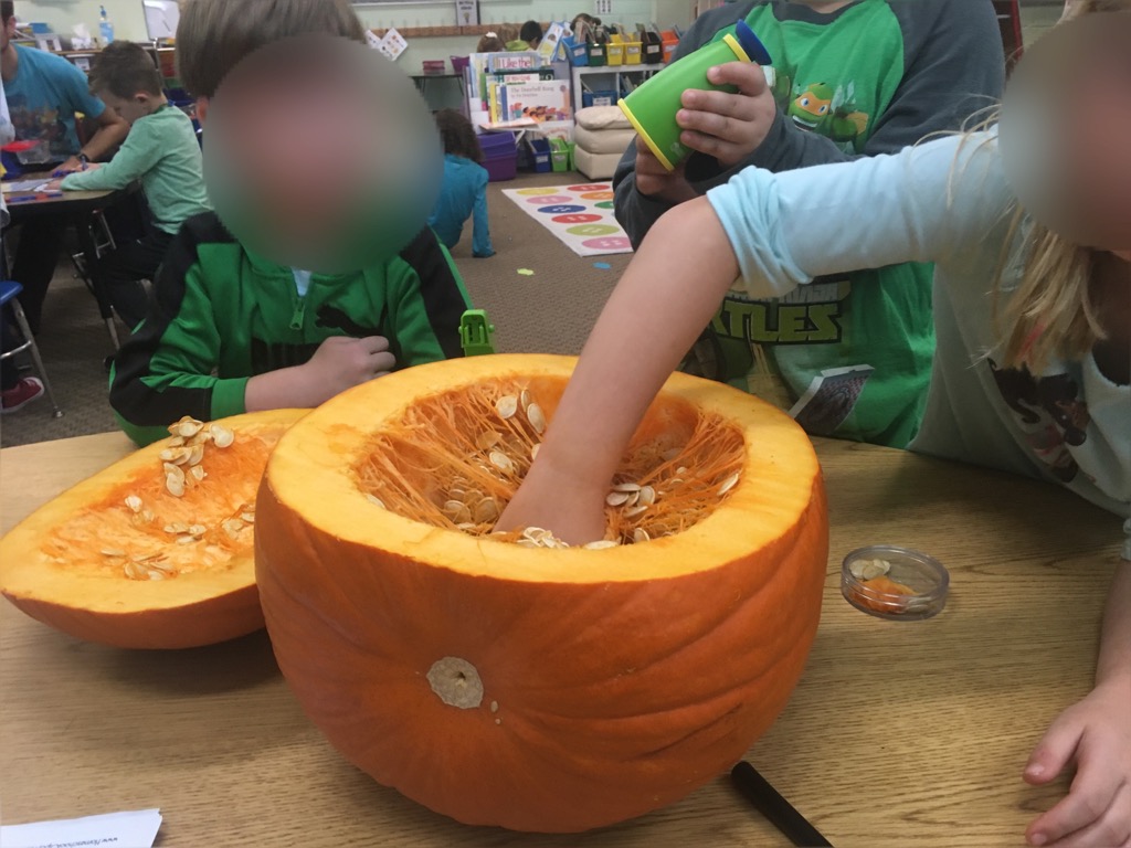 Fifth to Kindergarten