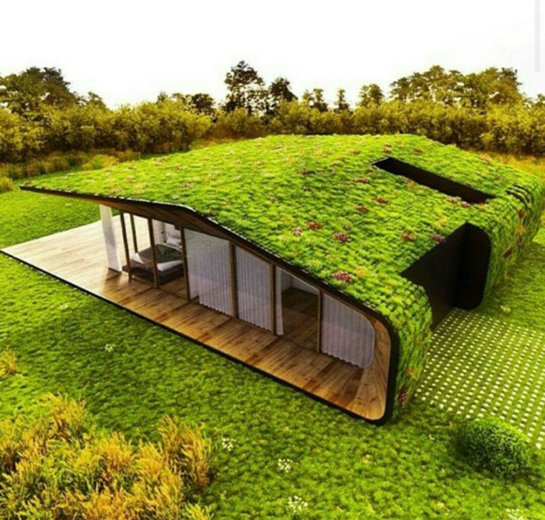 Pin by Derek Evangelisti on HOME AND CONTAINER HOME | Grass roof design ...