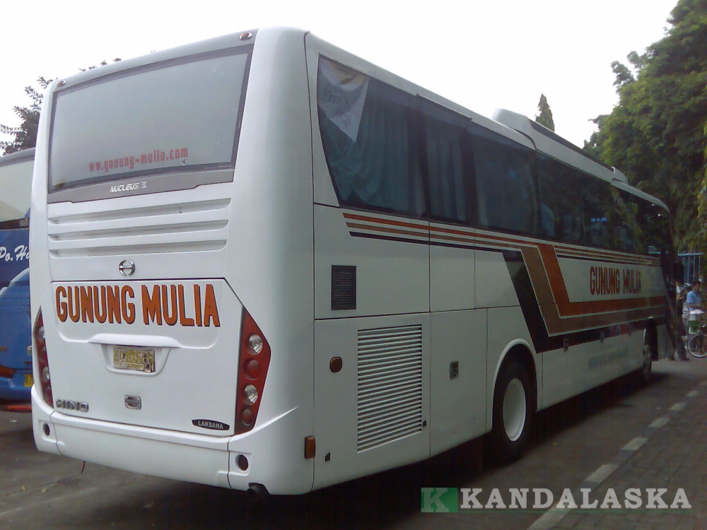 bus gunung mulia