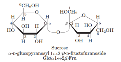 LET'S LEARN PLANTS: Carbohydrate Biochemistry (Part II)