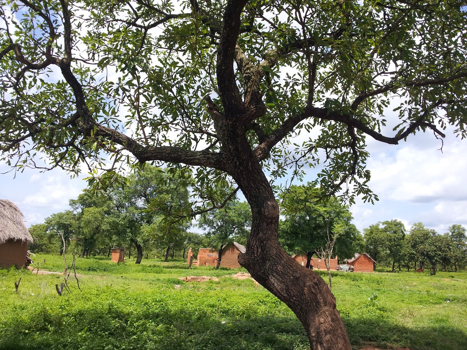 Wendy's Place: Village