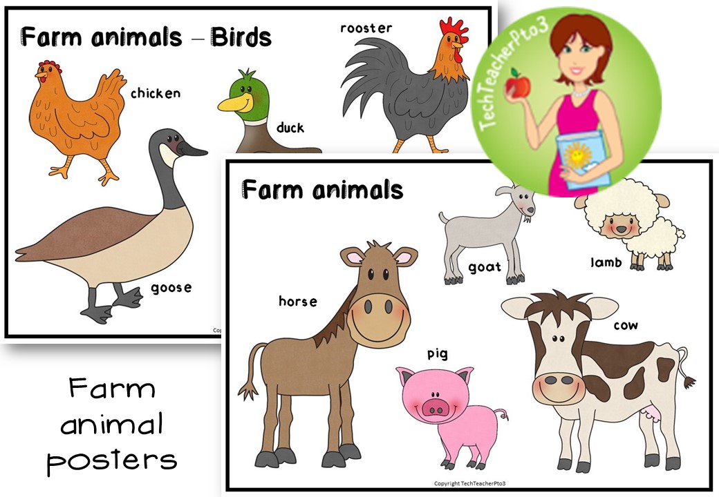 A farm thematic unit in the classroom | Foundation into First