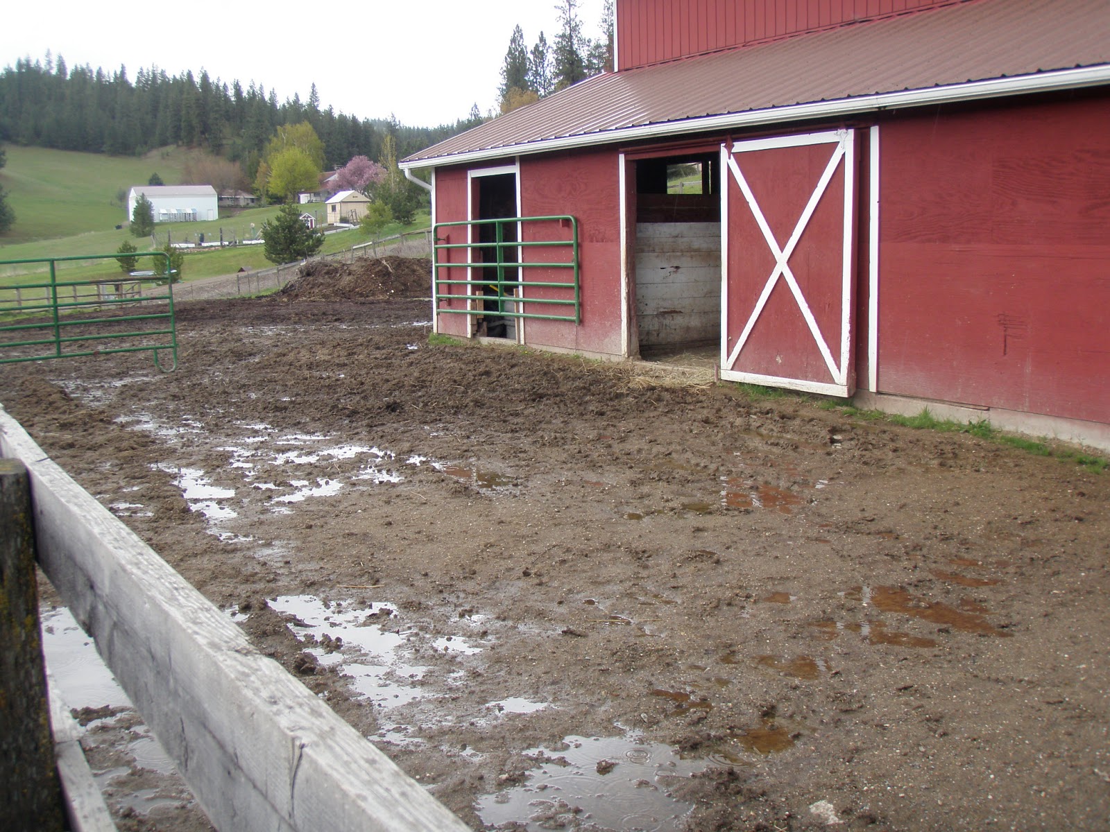 From The Ground Up: Livestock and Land versus Mud and Manure