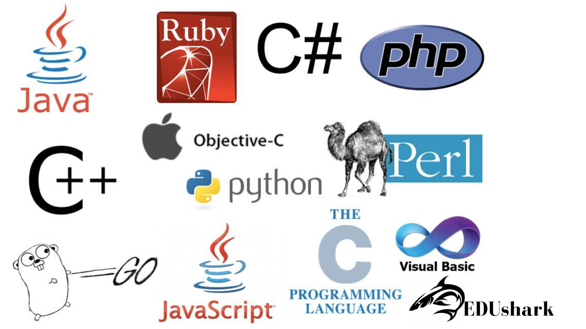 Computer Languages Computer Languages