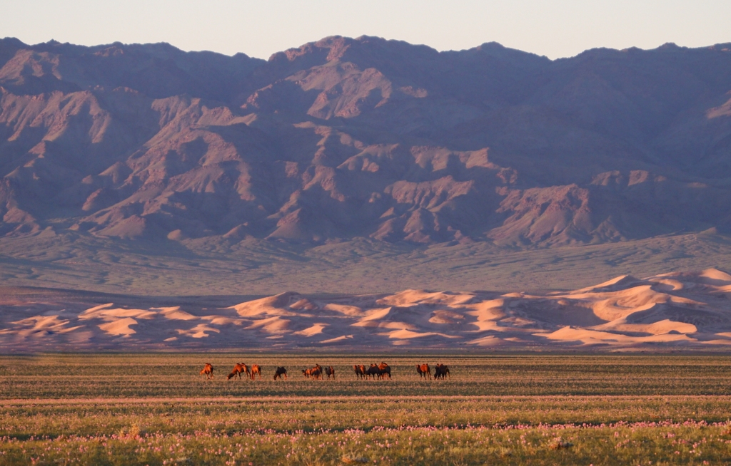 MONGOLIË: MET DE 4X4 DOOR DE GOBI WOESTIJN (1): VAN ULAANBAATAR NAAR ...