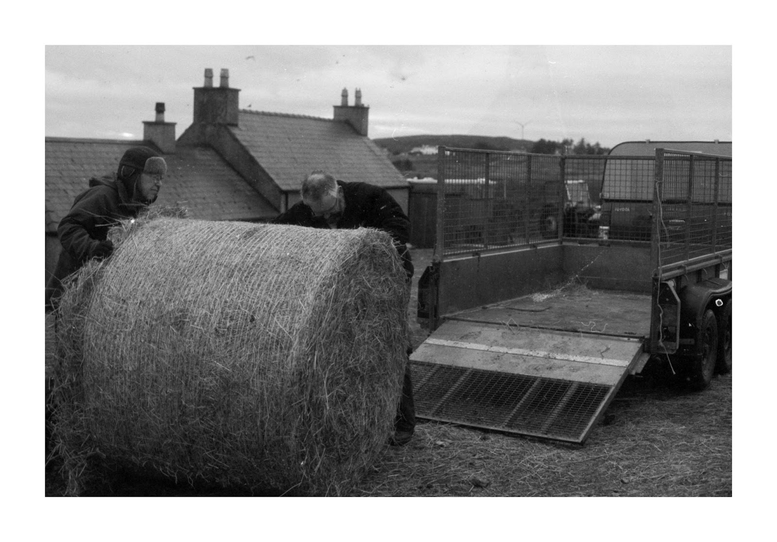 Island Crofters: March 2017