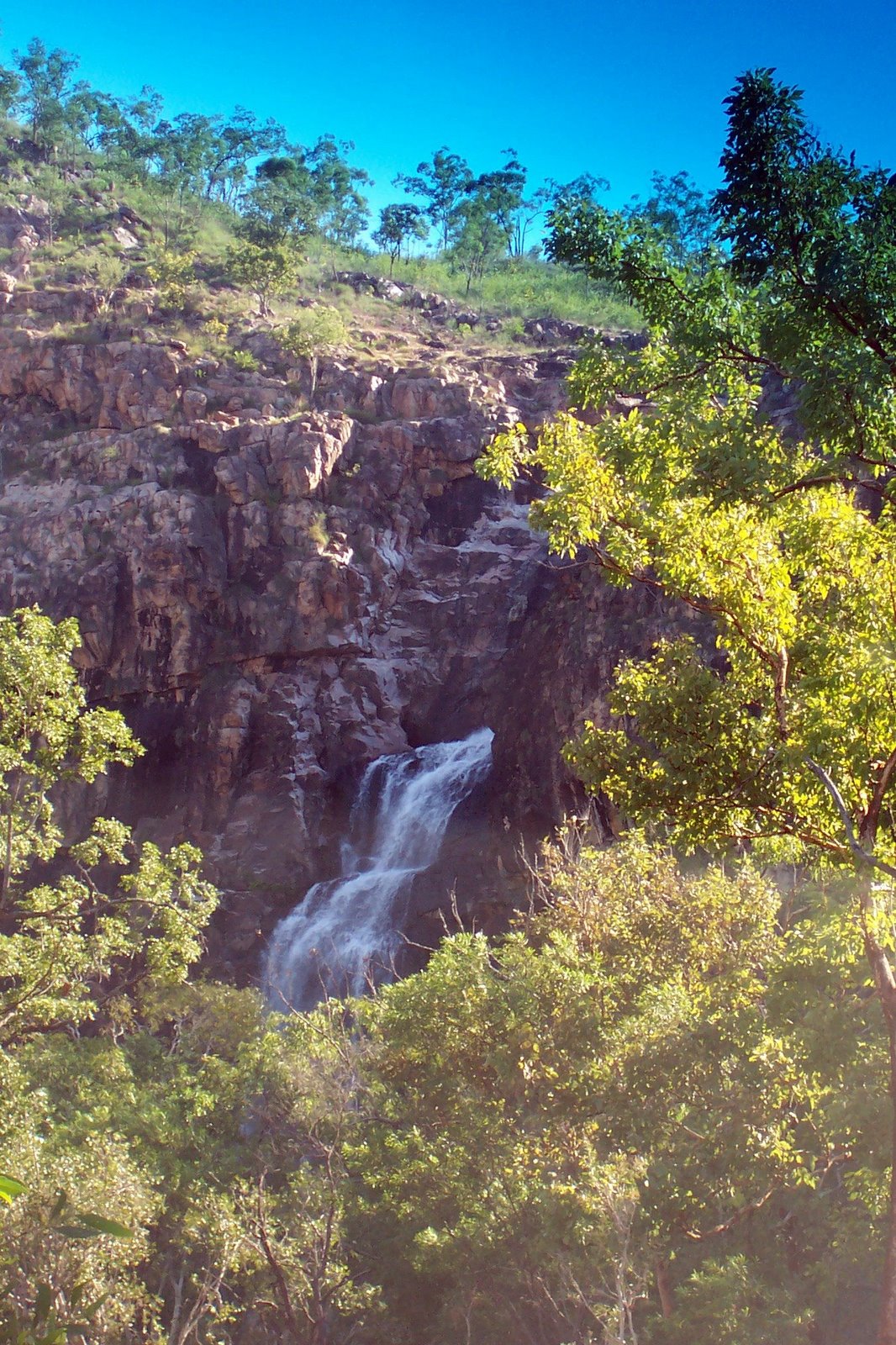 TIM DOLBY'S TRIP REPORTS & BIRDING TOURS: Darwin and Kakadu, Northern ...