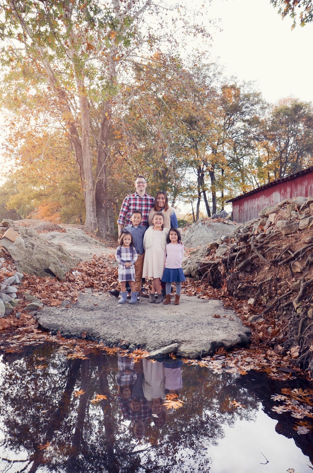 noel steinbrook photography