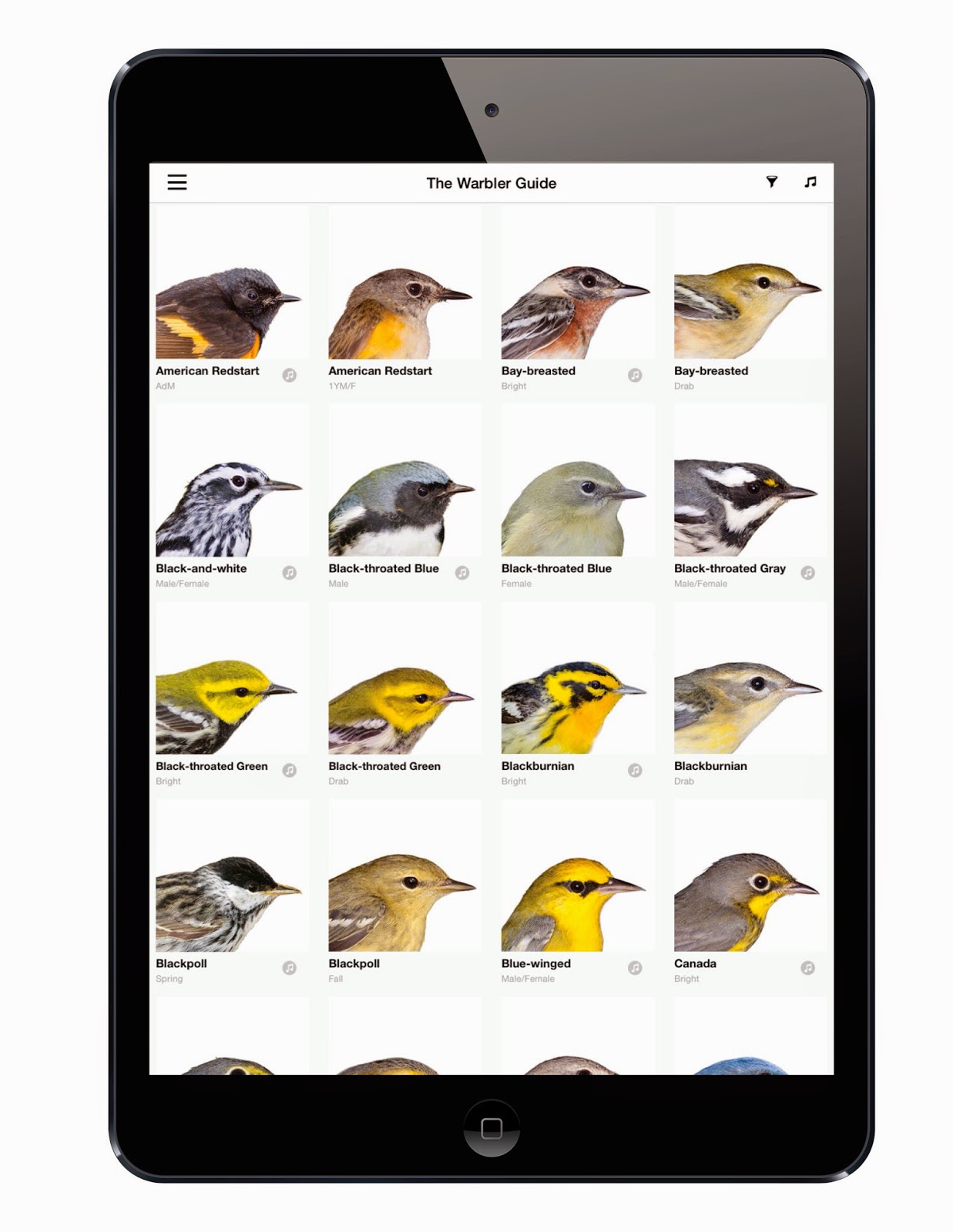 WarblerWatch: The New "Warbler Guide" App Premieres. . . Here's An ...