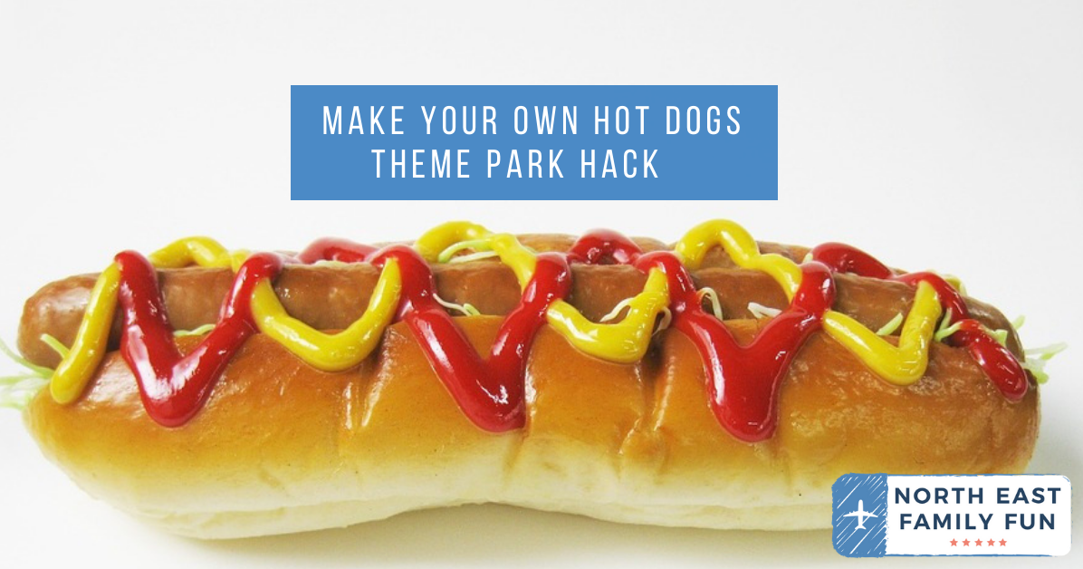 DIY Hot Dogs Theme Park Hack | North East Family Fun