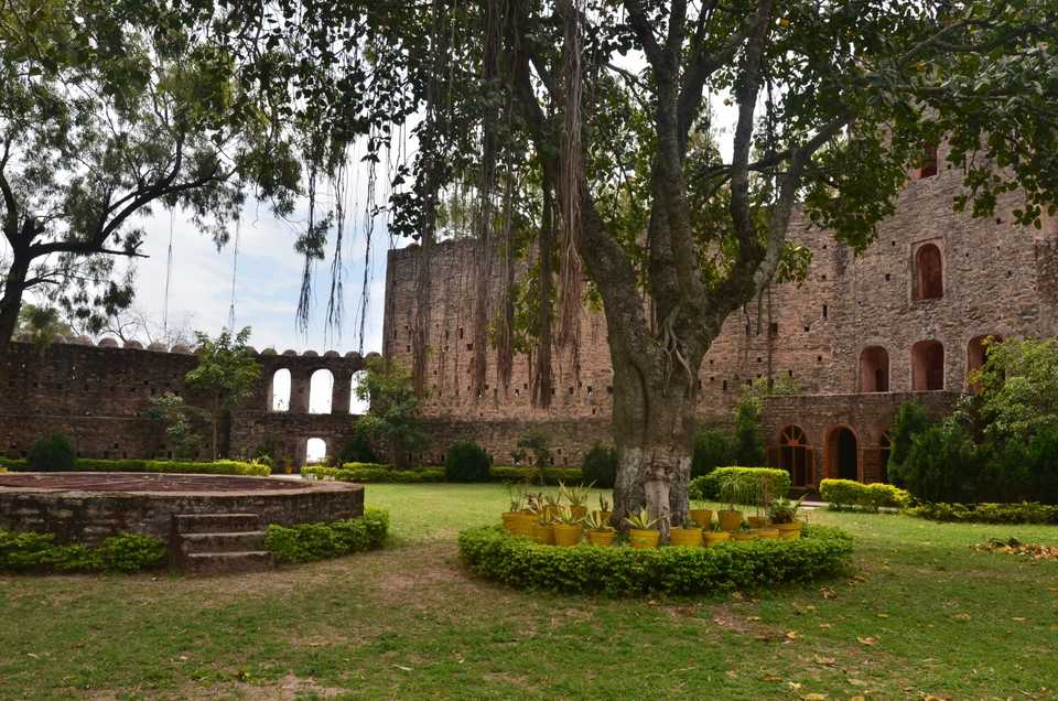 Morni Hills Station Near Chandigarh Best Places Of Morni Hills morni-hills-station-near-chandigarh-best-places-of-morni-hills