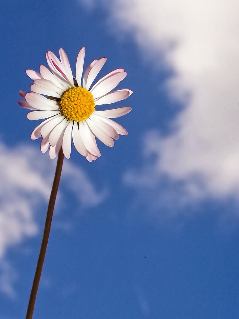 School Of Digital Photography: Using Backgrounds to Improve Your ...