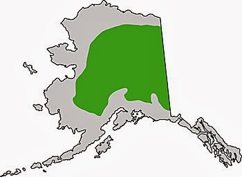Alaska's Boreal Forest: Map