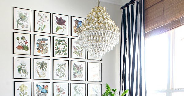 BOTANICAL ARTWORK BOOKS | Dimples and Tangles